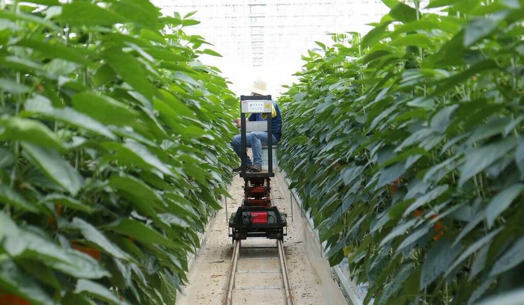 What are Smart Agriculture Techniques? - Agro Invest Spain