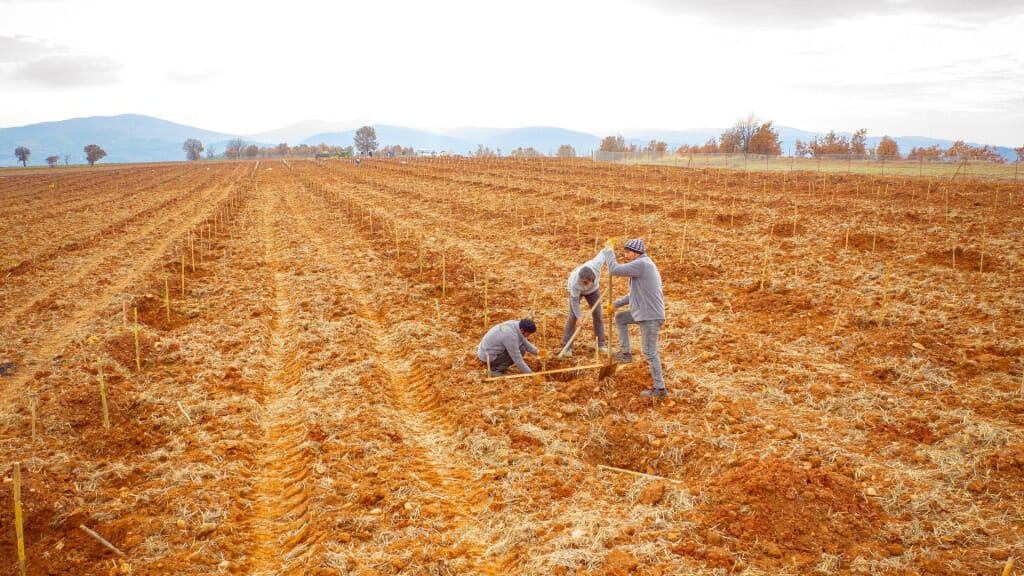 Home - Agricultural Investment in Spain