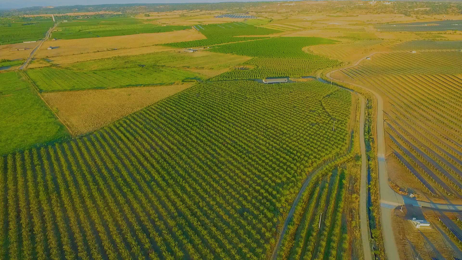 Climate Smart Agriculture- An Ecological Approach - Agricultural ...