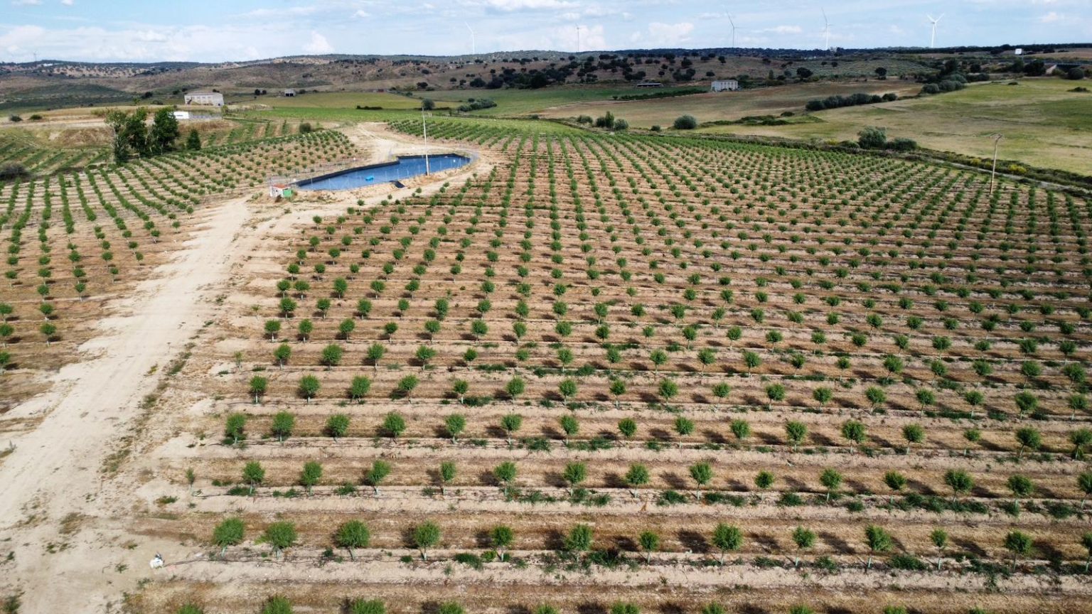 Agricultural Investment in Spain | Almond Farmlands | Agro Invest