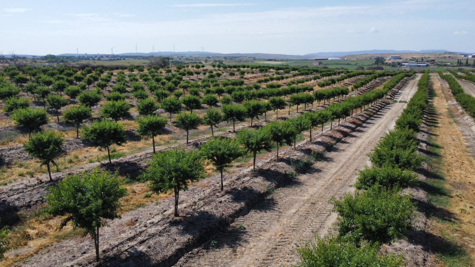 Defining Agricultural Asset Management and Agriculture Investment Firms